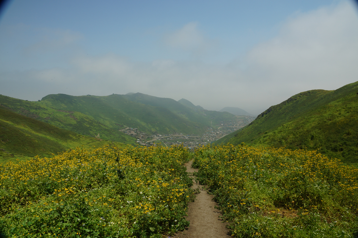 Lomas costeras: 5 lugares para visitar – BRITÁNICO