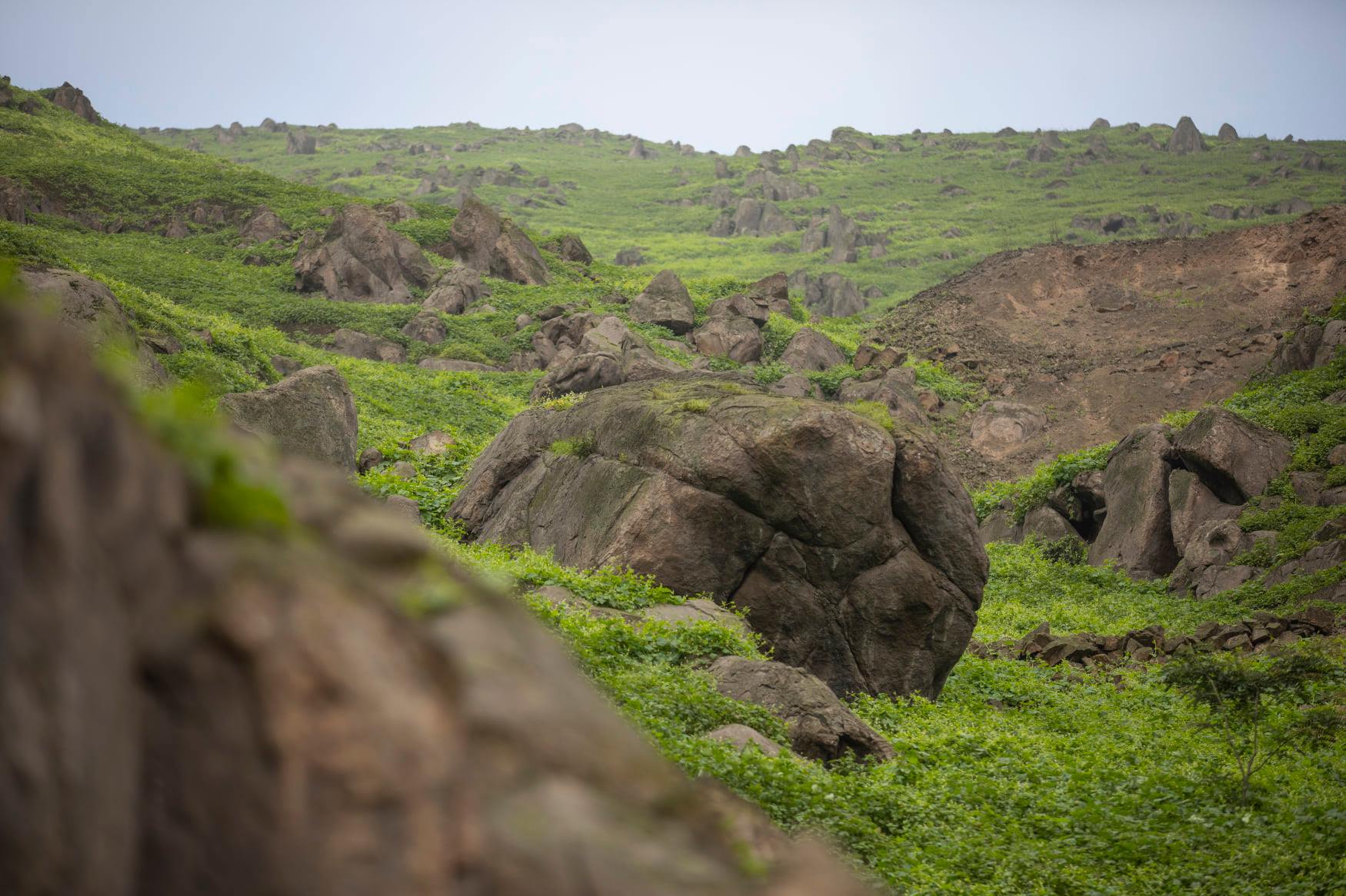 Lomas costeras: 5 lugares para visitar – BRITÁNICO