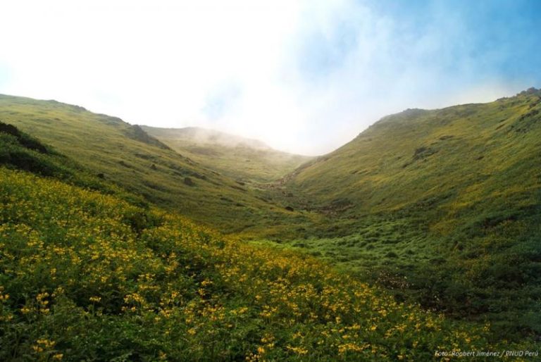 Lomas costeras: 5 lugares para visitar – BRITÁNICO